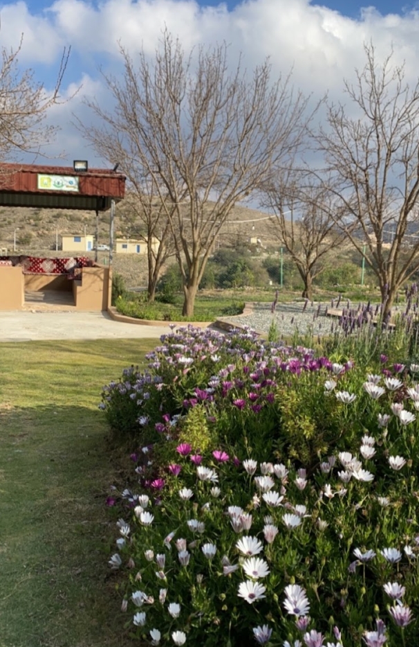 Baljurashi