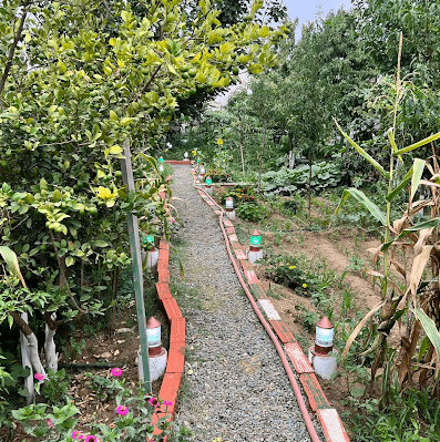 parental farm