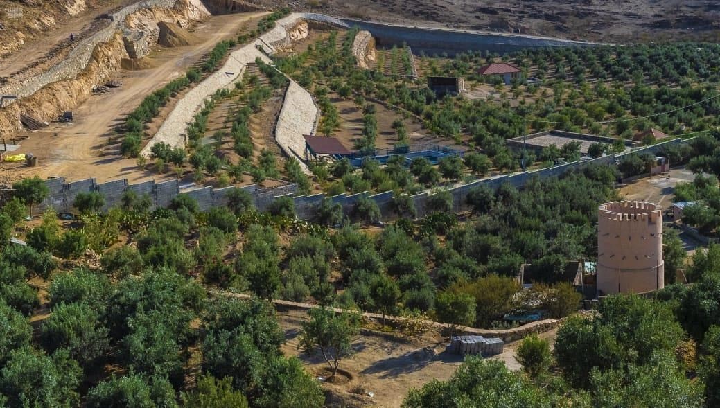 Zaytuna Farm - Official site of AlBaha Municipality